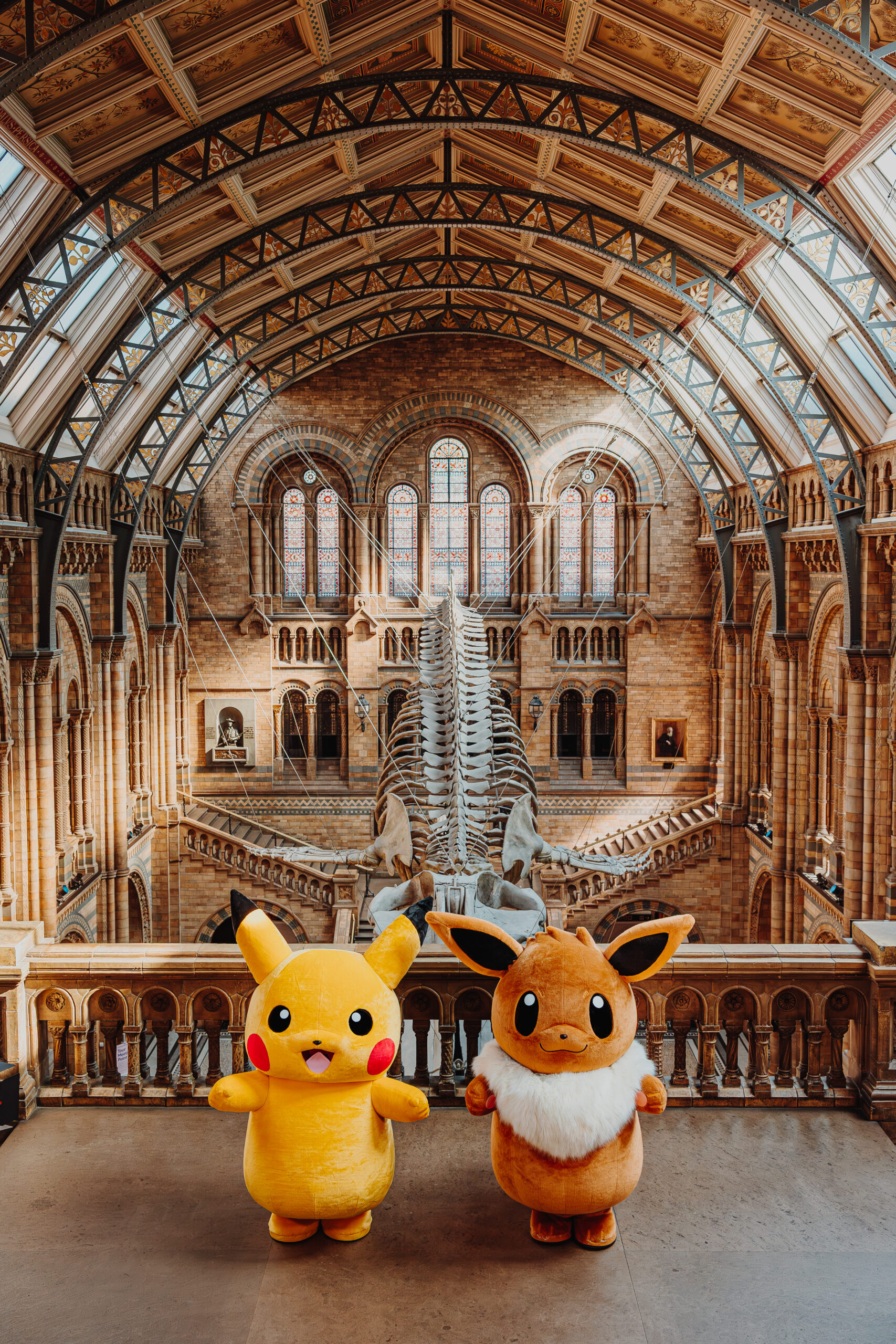 POKÉMON X NATURAL HISTORY MUSEUM POP-UP REVEALS EXCLUSIVE MERCHANDISE ...